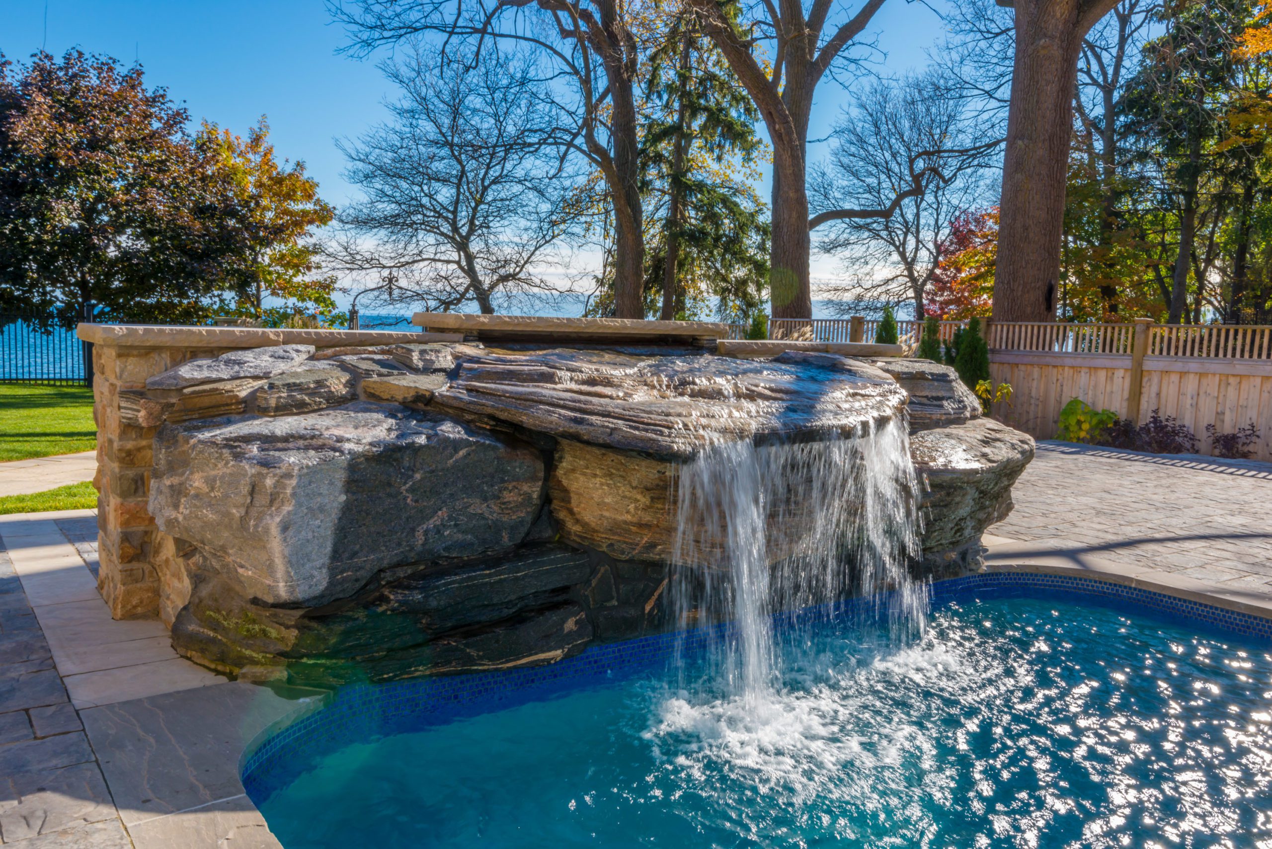 Specialty Builds | Focus Consultation